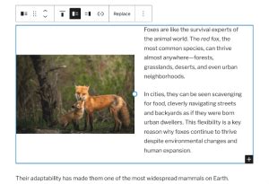 How To Add And Align Images In WordPress Block Editor Gutenberg