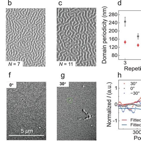The Effect Of Dipolar Interaction On Domain Periodicity And Download Scientific Diagram