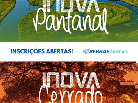 Sebrae MS lança editais dos programas Inova Pantanal e Inova Cerrado Dourados News
