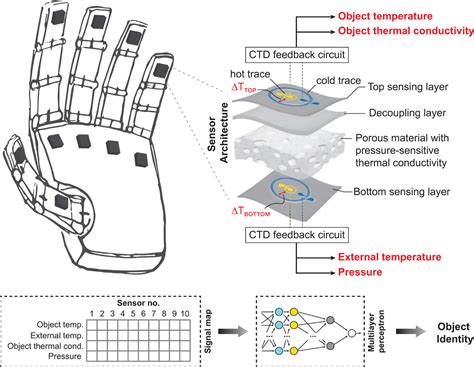 robots learn to identify objects by feeling science robotics