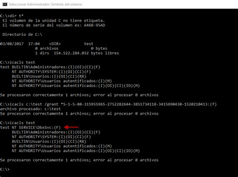 Administrar Los Permisos De Un Servicio De Windows Sobre Un Objeto