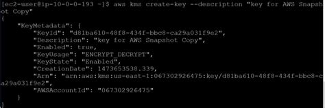 How To Copy Encrypted Aws Ebs Snapshots Across Accounts N2w Software