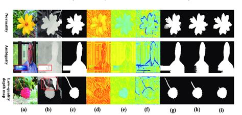 visual demonstrations of cross modal fusion in cafm the annotations