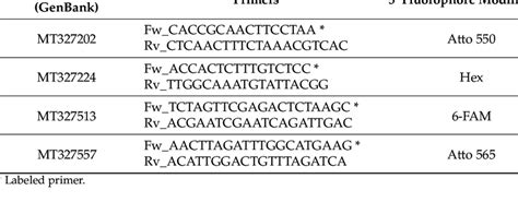 Ssr Markers Used For Molecular Identification Of A Unedo Clones Download Scientific Diagram