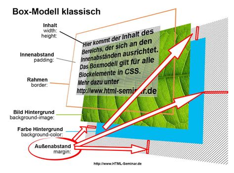 Außenabstand Margin Beim Css Box Modell