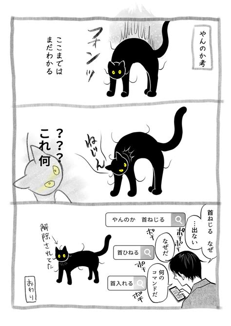 猫「わからせてやるよ」 矜持編