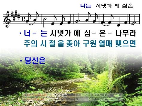 [ppt악보] 너는 시냇가에 심은 나무라 네이버 블로그