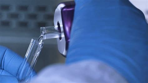 How Easysep™ Magnetic Cell Separation Technology Works Fast And Easy