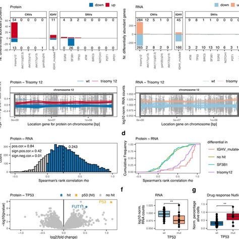 Overview Of The Study Design In Depth Proteomics Transcriptomics