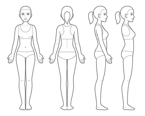 Human Female Reference Drawing