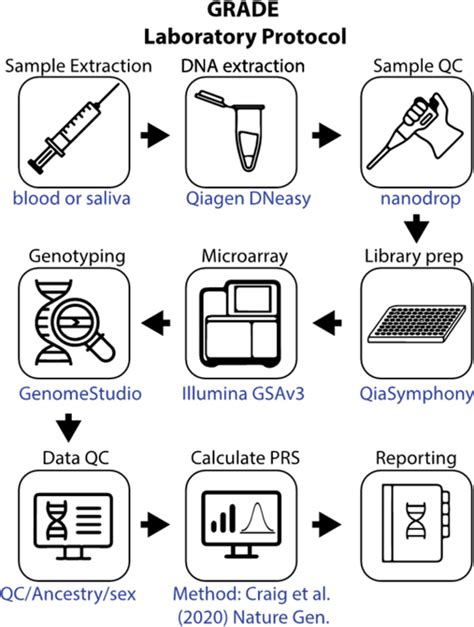 Flowchart Of Prs Calculation Framework Download Scientific Diagram