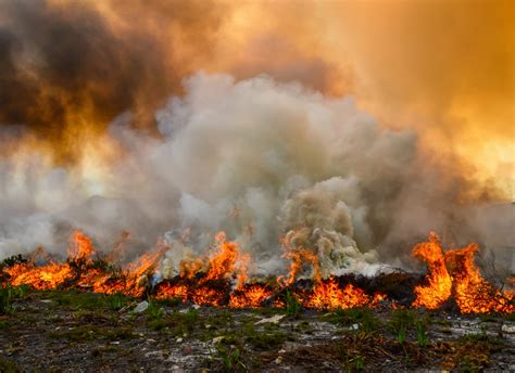 Climate Change Impacts From Extreme Weather Events To Rising Sea