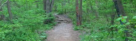 Potato Patch Trail Pennsylvania 58 Reviews Map Alltrails