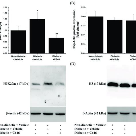 Pharmacological Inhibition Of Histone Acetyltransferase P300cbp