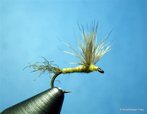 Sparkle Dun Mayfly