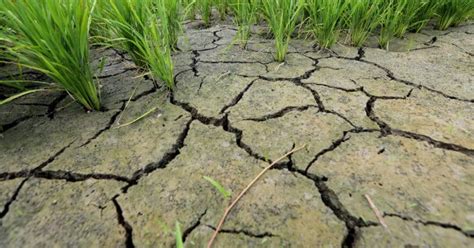 Водна криза в Техеран 15 милионното му население може да се премести