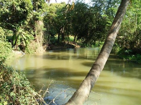 ขายที่ดินติดลำตะคลอง มีน้ำตลอดทั้งปี 42 ไร่ ตำบลมิตรภาพ อำเภอสีคิ้วที่ดินสวยติดถนนลาดยาง ใกล้