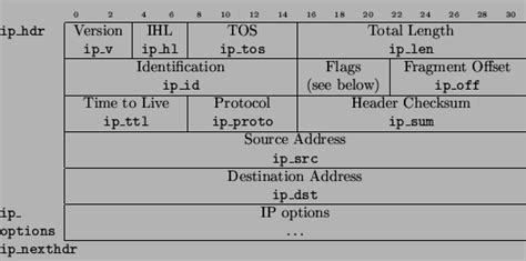 IPv Header