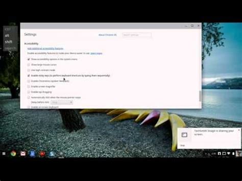 New Video Tutorial Overview Of Chrome OS Accessibility Features Chrome Web Videos Tutorial