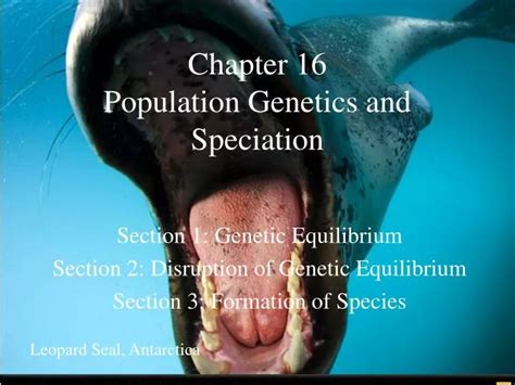 Ppt Chapter 16 Population Genetics And Speciation Powerpoint
