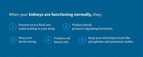 A Guide To Keeping Your Bladder Healthy Cxbladder