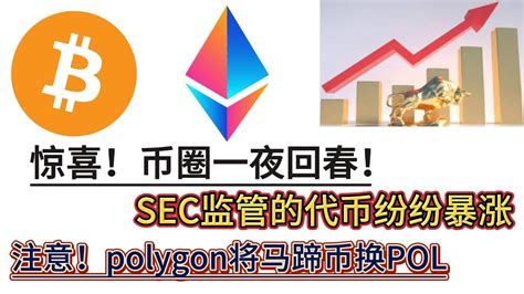 惊喜！币圈一夜回春！sec监管代币纷纷暴涨，xrp涨幅70，注意！polygon将马蹄币换成pol Youtube