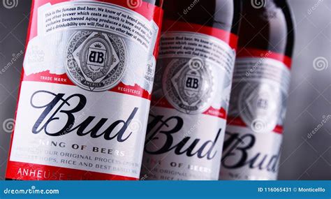 Bottles Of Bud Beer Editorial Photo Image Of Americanstyle 116065431