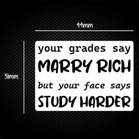 Study Harder Sticker Pack Novelty Stickers Slightly Disturbed