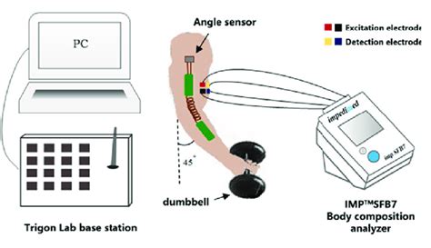 Block Diagram Of Static Experiment Download Scientific Diagram