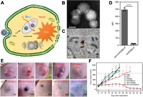 Multifunctional Nanozymes For Disease Diagnosis And Therapy Pmc