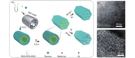 Synthesis Of Mesoporous Carbon Materials From Renewable Plant Polyphenols For Environmental And