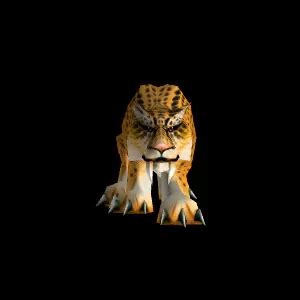 Travel Form Druid NPC TBC Classic