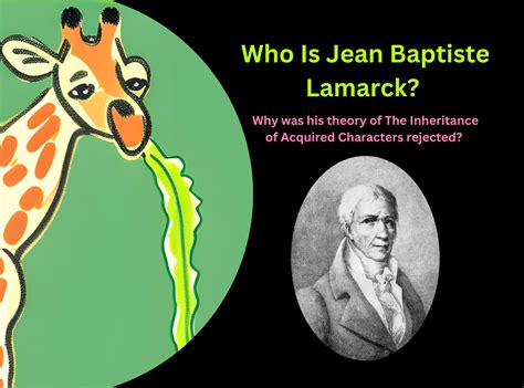 Who Is Jean Baptiste Lamarck Why Was His Theory Of The Inheritance Of