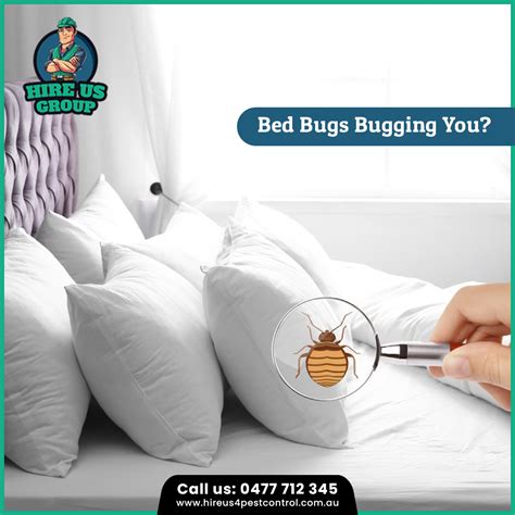 Eradicate Bed Bugs With Our Expert Pest Control Services In Melbourne