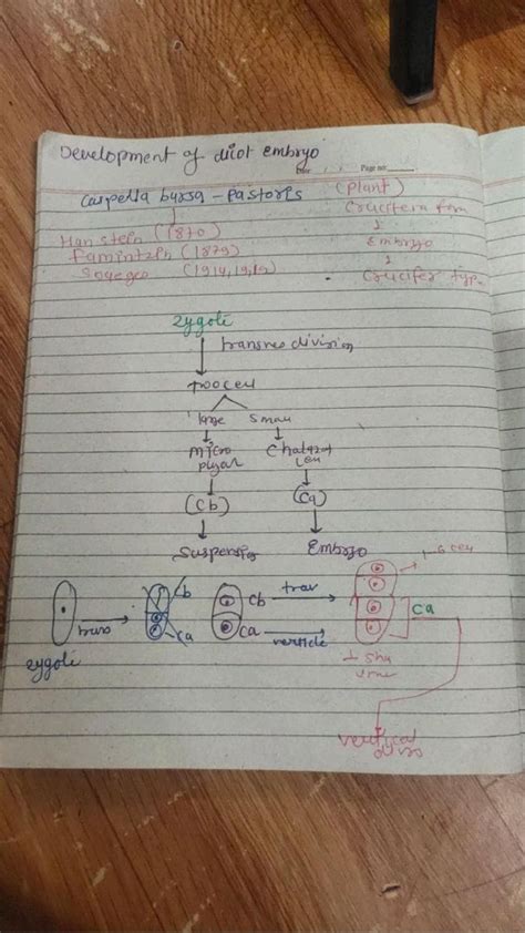 Pengembangan Embrio Dikotil Dengan Mudah