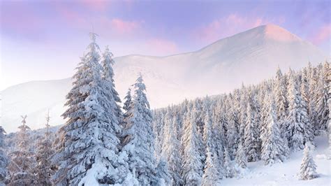 Snow Covered Winter Landscape 4k Wallpapers Wallpaper Cave