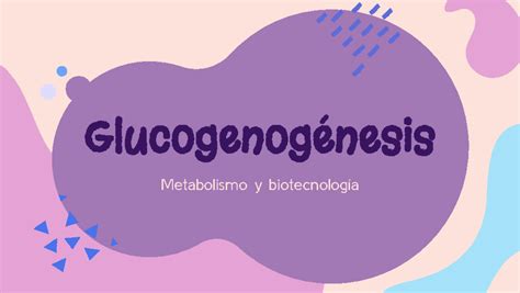 Glucogenogénesis Presentación Sobre Ciclo Y Características De