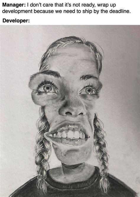 Software Development In A Nutshell Rprogrammerhumor