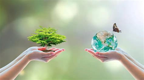 Importancia De La Biodiversidad Conservación De La Biodiversidad