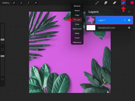 How To Use Procreate Bucket Tool At Laura Ted Blog