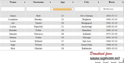 Grid Pro Big Data Table View Data Grid With Sort Search And Filter For Large Mysql Table