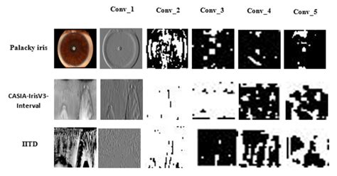Visualization Of Activations Of The First Five Convolutional Layers Of Download Scientific