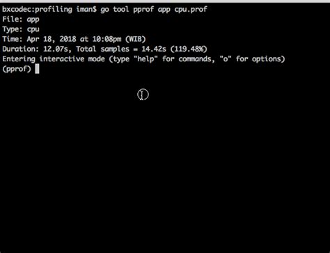 deteksi slow function di golang dengan profiling teknologi