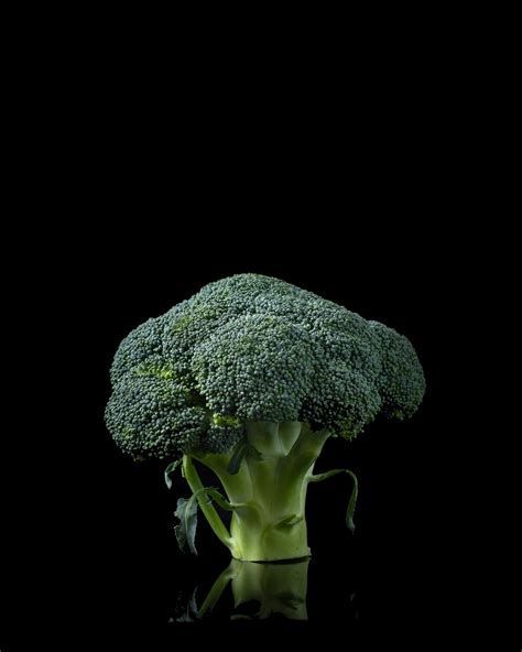 西兰花图片手机壁纸 西兰花壁纸 西兰花图片手绘 文秘苑图库