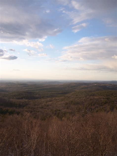 Photo Tree Line And Sky Andy Arthur Org