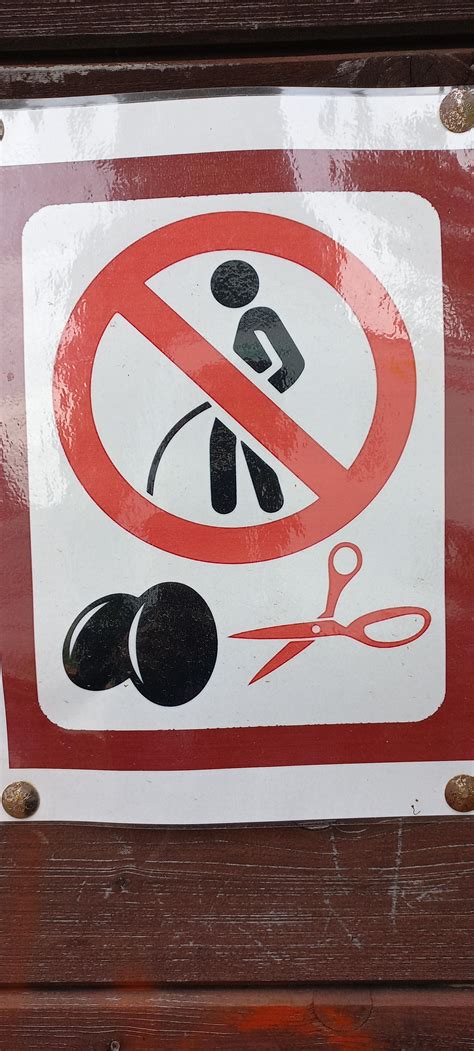 At The Back Of The Bus Stop 💀 Rfunnysigns