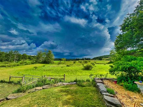 Bedlam Farm Blog Journal By Jon Katz