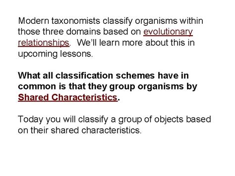 Lets Classify What Does It Mean To Classify