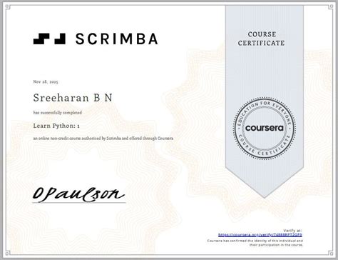 Python Pythonprogramming Scrimba Coursera Codingjourney Continuouslearning Dataskills