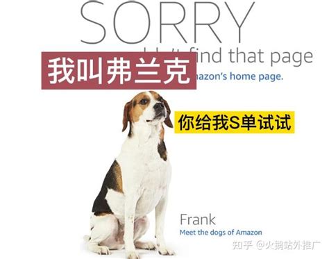 盘点亚马逊那些令人闻风丧胆的listing变狗。你知道它们怎么来的吗？ 知乎